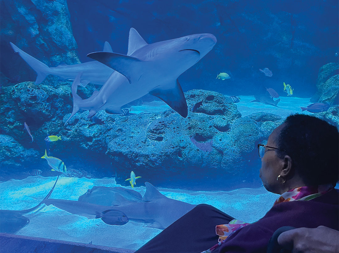 A Special Family Outing to the St. Louis Aquarium